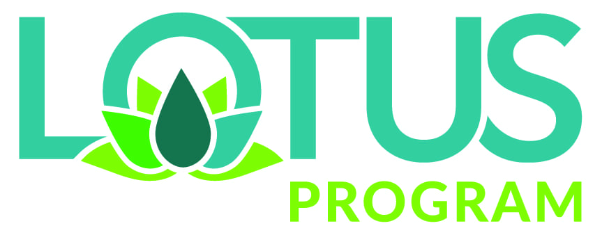 Young Adult Mental Health Programs | Lotus